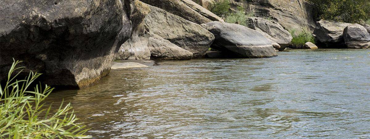 Forest Resources Association Supports WOTUS Rule | DHA